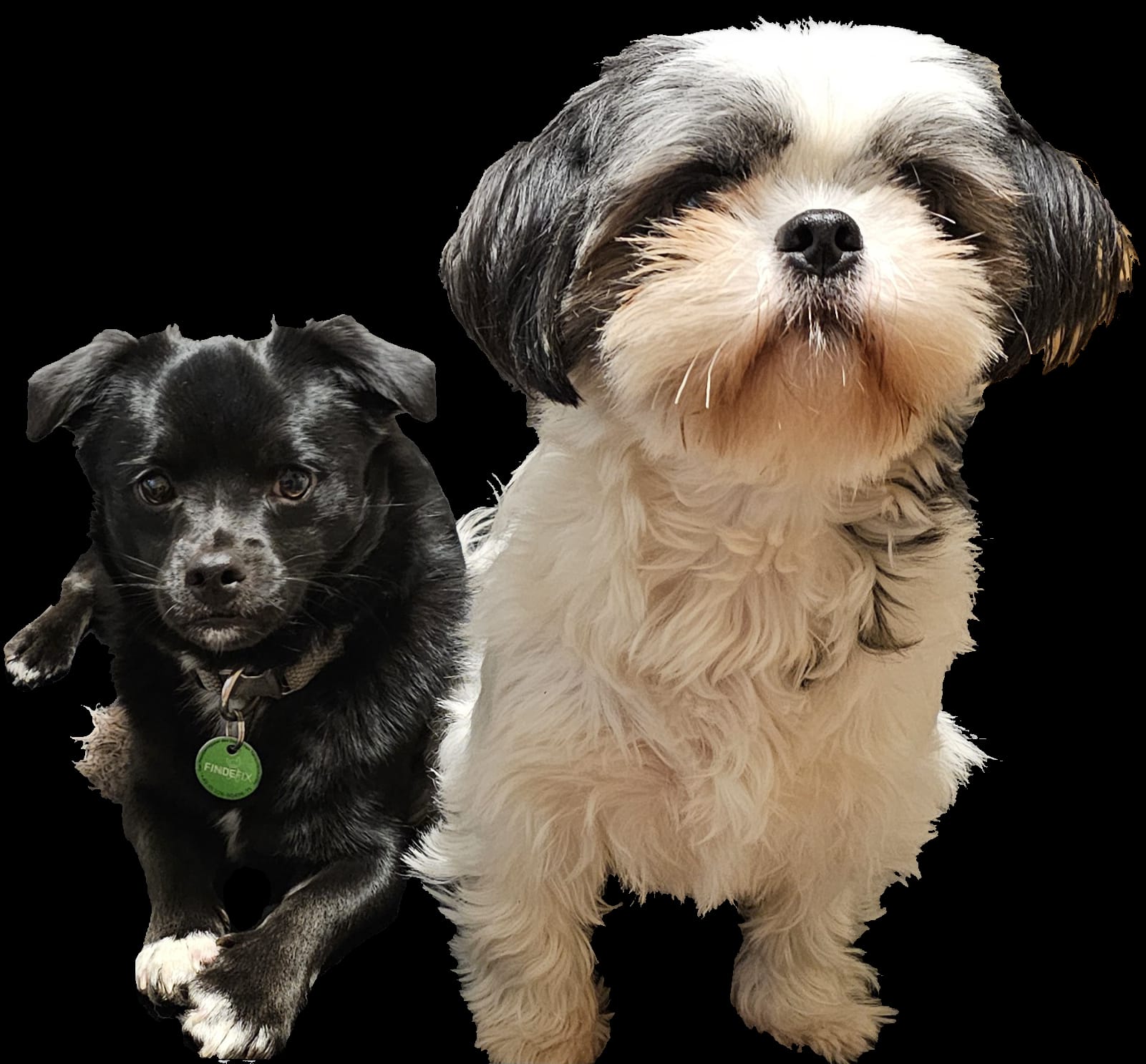 Muffin und der Ninja – Fotos, Videos und Abenteuer von uns und unseren ...